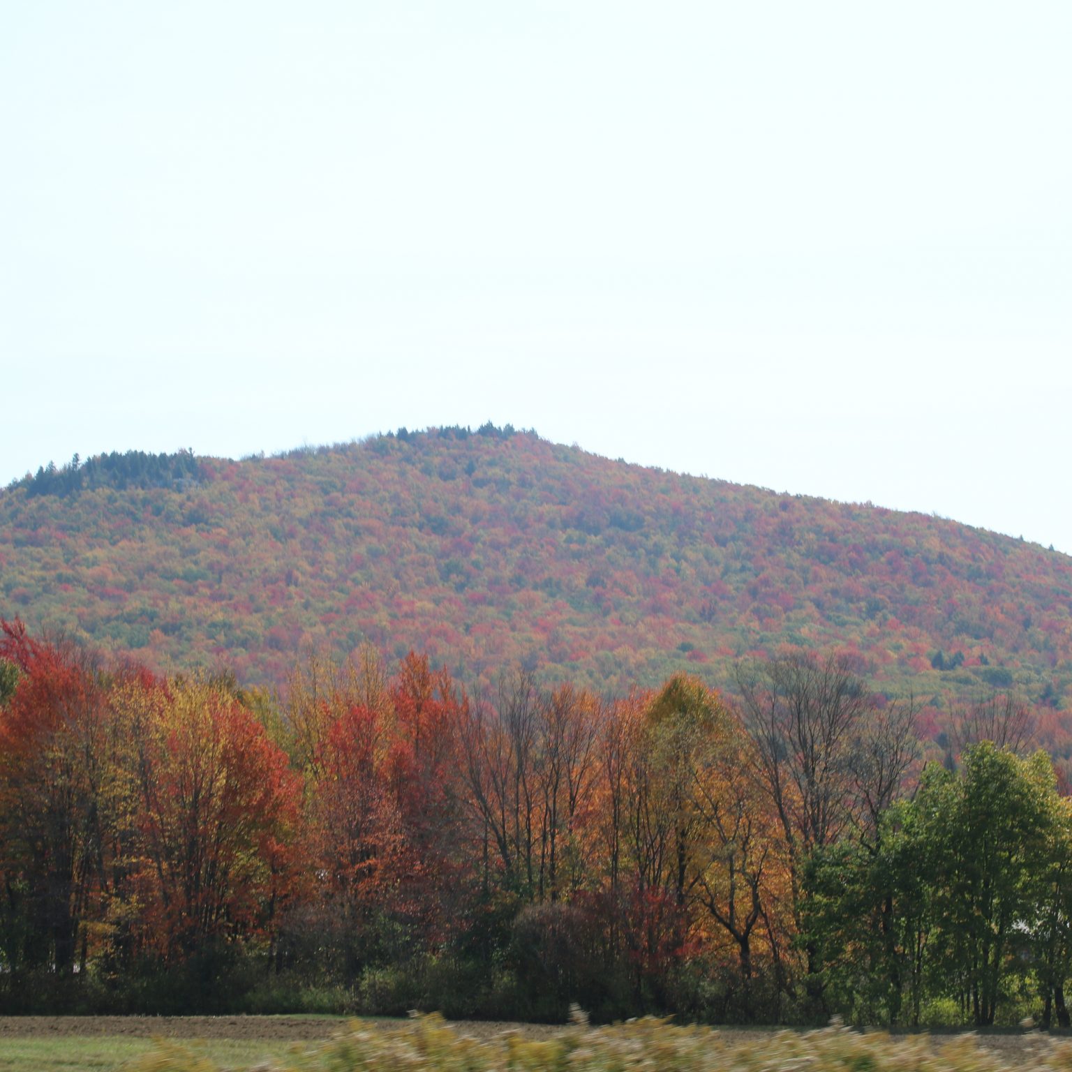 5 Fun Fall Activities to do this Season | lifeatmyownpace