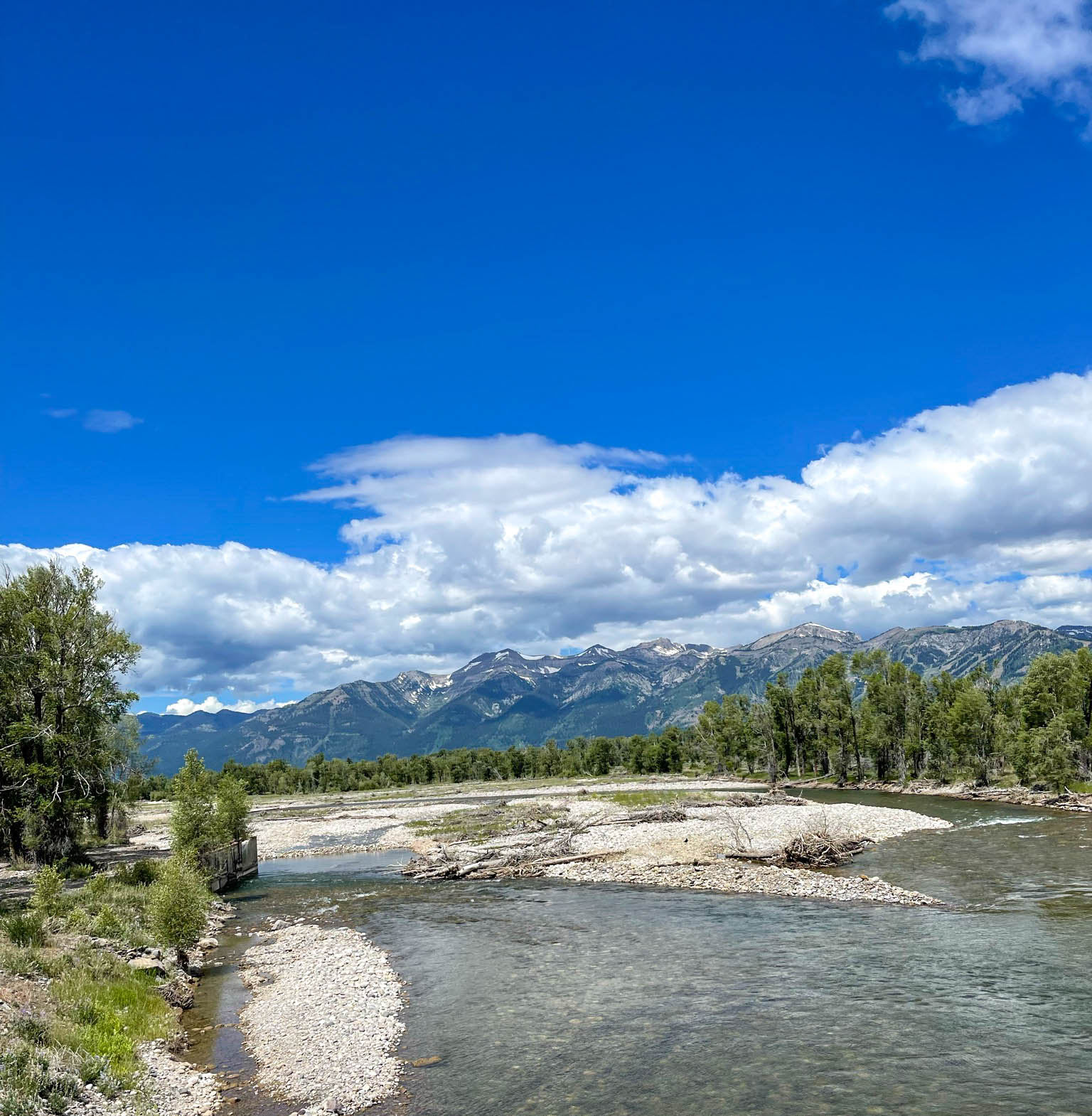 All You Need to Know When Visiting Jackson, WY | lifeatmyownpace
