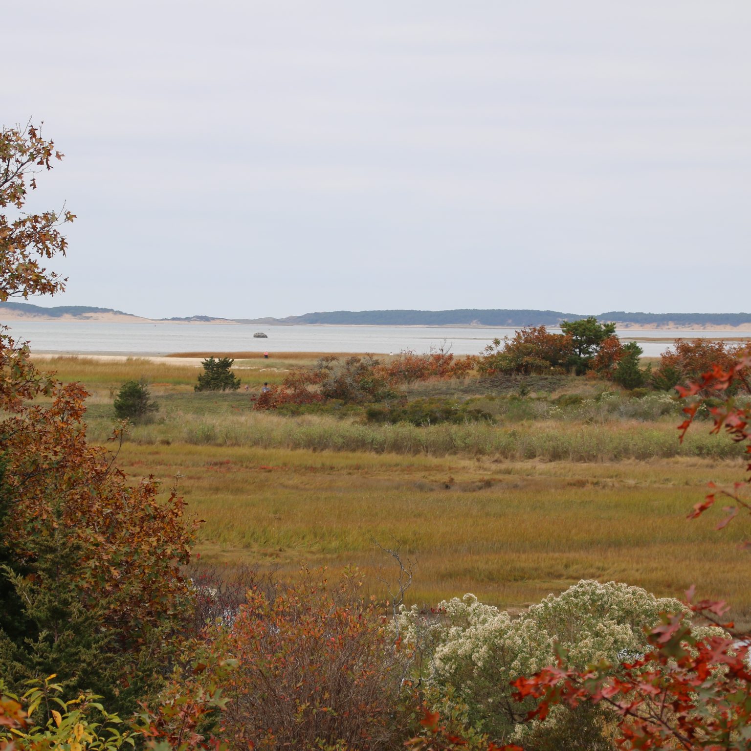 5 Amazing Fall Activities to do in Massachusetts | lifeatmyownpace