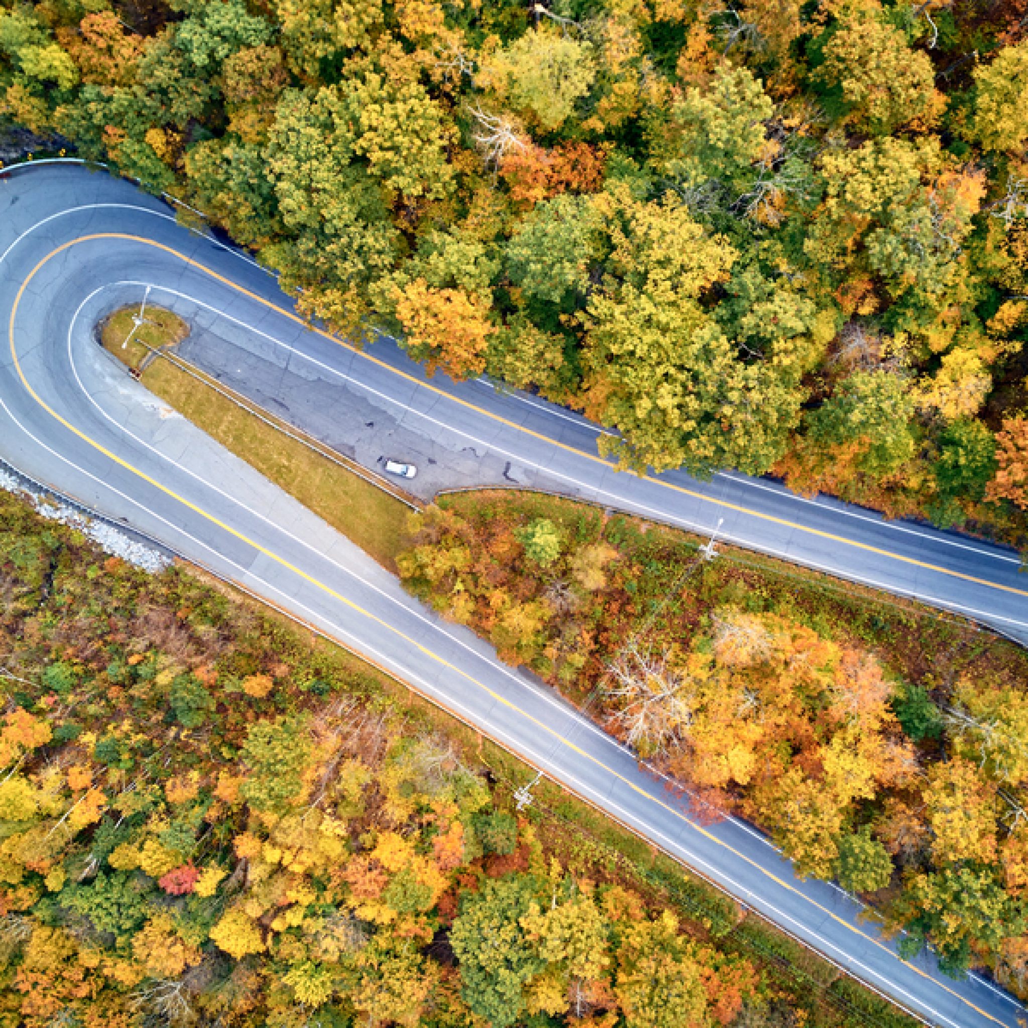5 Amazing Fall Activities to do in Massachusetts | lifeatmyownpace